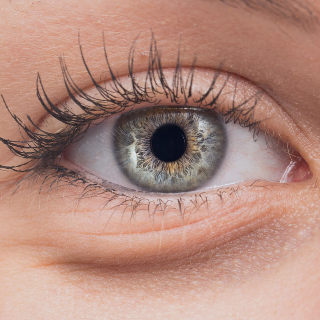 Jeito Capital codirige un financement de série B de 75 millions d'euros ...